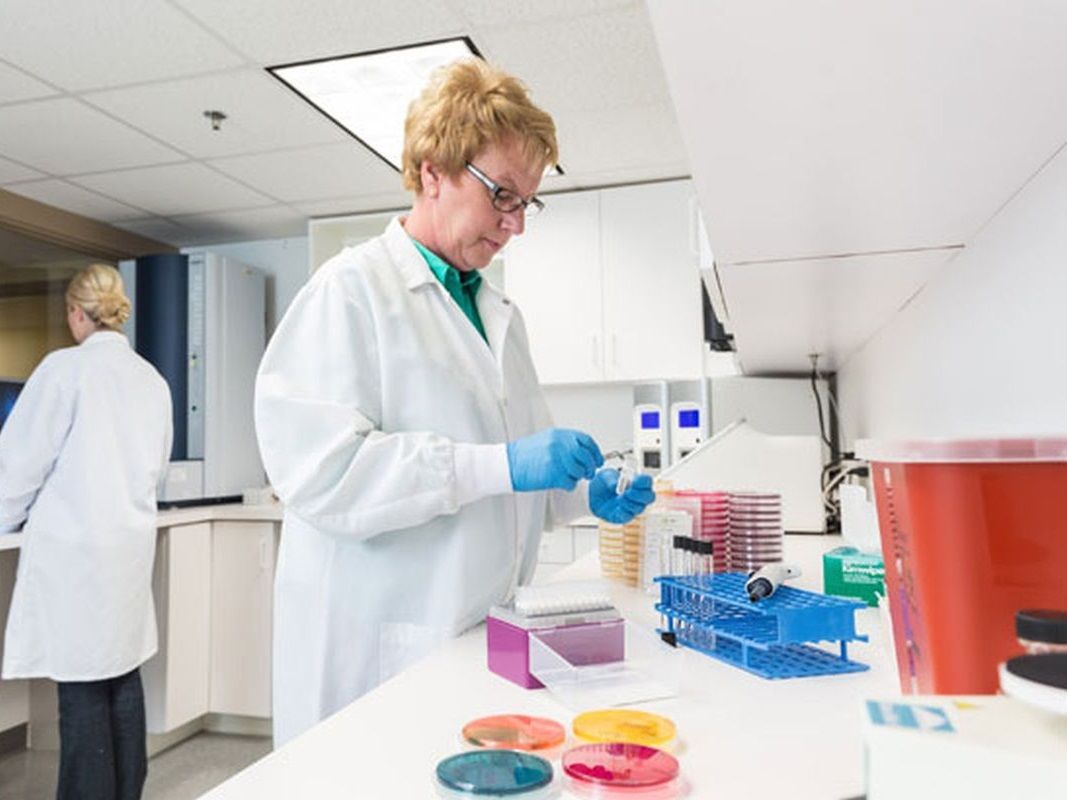 LYFO DISK | כמיטק - פתרונות רפואיים מתקדמים